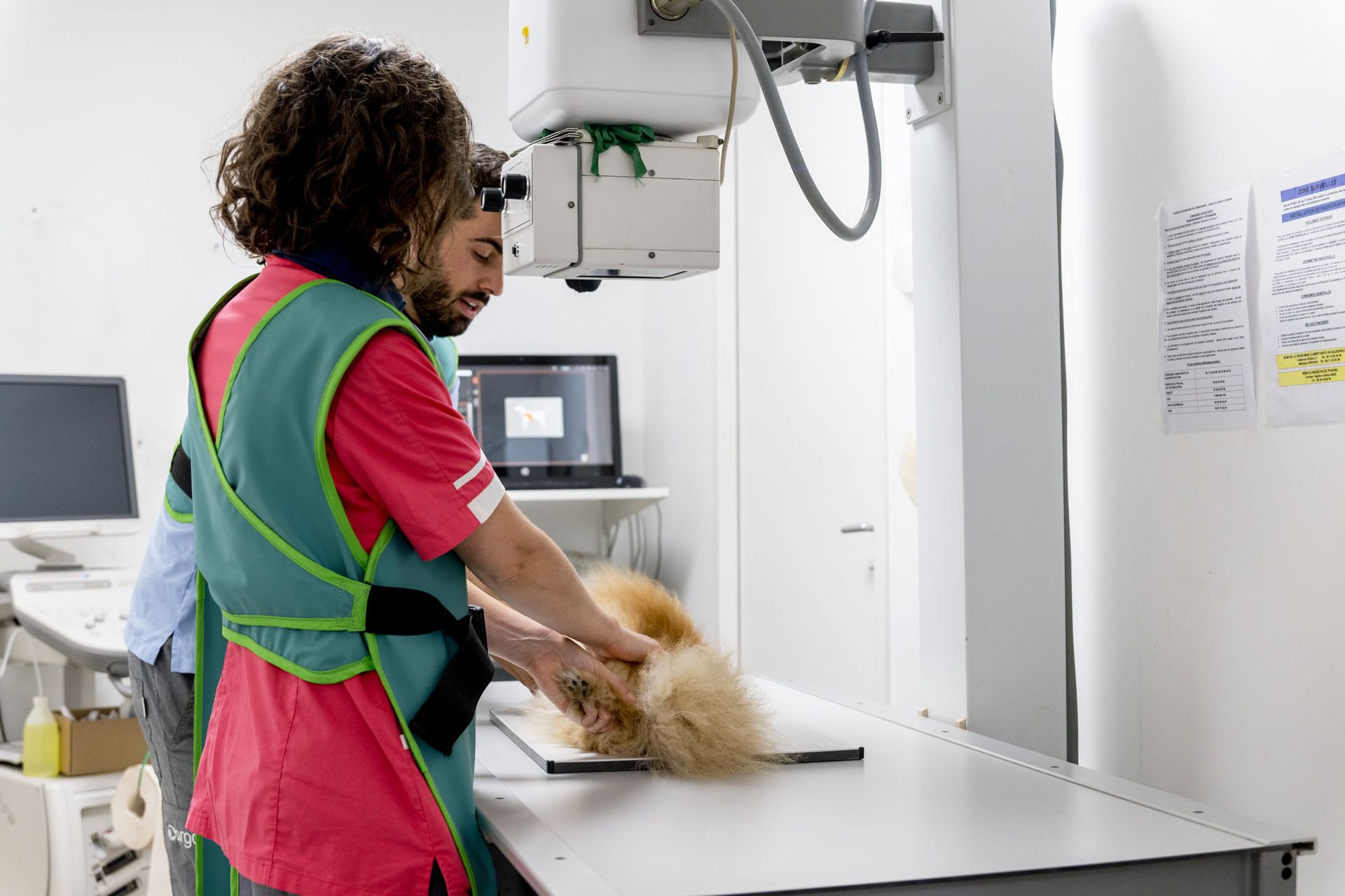 Argos Vétérinaire - Réseau de cabinets et cliniques vétérinaires