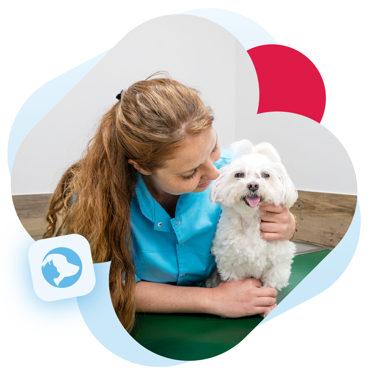 Nos services autour du bien-être animal | Argos